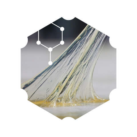 FirstWin - Baypren Adhesive